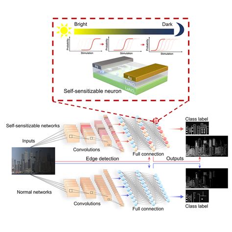 Self Sensitizable Neuromorphic Device Based On Adaptive Hydrogen Gradient Matter