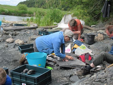 A Remarkable Life In Fossils National Museums Scotland Blog