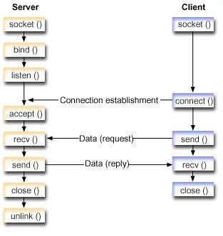 SimplyCurious Simple Web Server In C Language