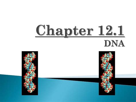 PPT Chapter DNA PowerPoint Presentation Free Download ID