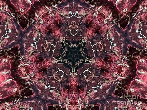 Black Red Ruby Kaleidoscope Digital Art Digital Art By Sofia Goldberg Fine Art America