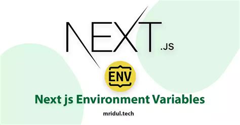 How To Use Next Js Environment Variables Mridultech