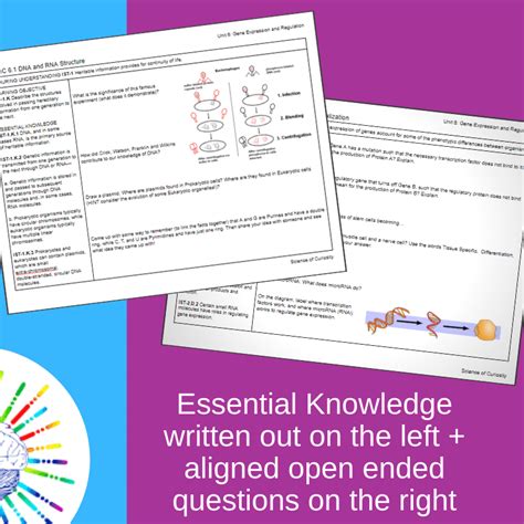 Bundle Ap Biology Full Year Curriculum Reviewlearning Guides