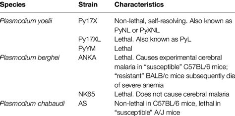 List Of Experimental Plasmodium Infection Models In Mice Download Table