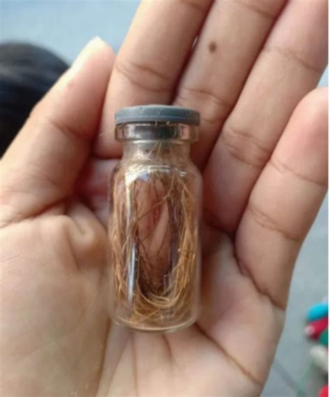 Buhok Ng Tikbalang Pang Pa Amo At Pang Pa Lubag Loob Lazada Ph