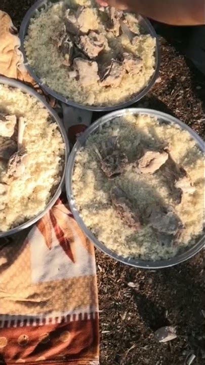 منسف على الحطب الربع ملتم ع سدر المناسف🤩🤩🤩mansaf On Firewood Youtube