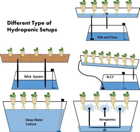 Hydroponic Farming Cost And Profit Analysis Agri Farming