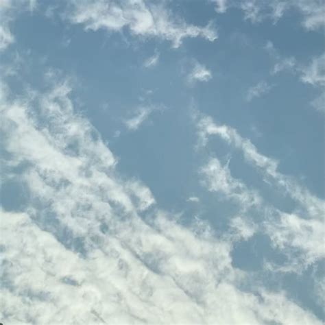 参天 Comesinkwithrong • Instagram Photos And Videos