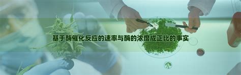 土壤酶活 植物激素 Hplc液相 病理检测 透射电镜 固氮酶 Nta检测 安捷顺专业的科研检测机构