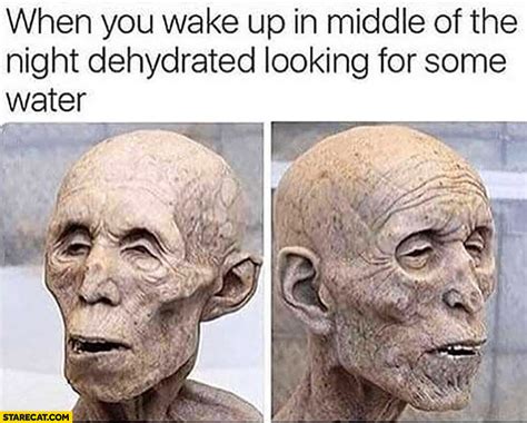 Dehydration Memes