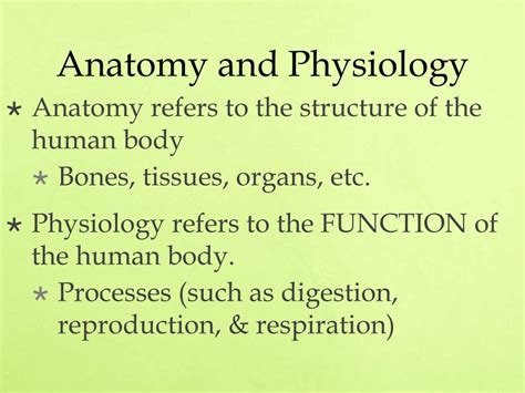 PPT Introduction To Human Anatomy And Physiology PowerPoint