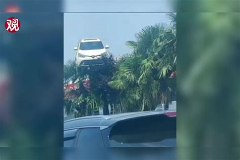 西安一辆车稳稳停在树顶，过路司机一脸懵：怎么飞上去的西安