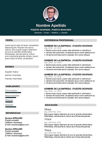 Hoja De Vida Para Ingeniero Civil Modelos De CV