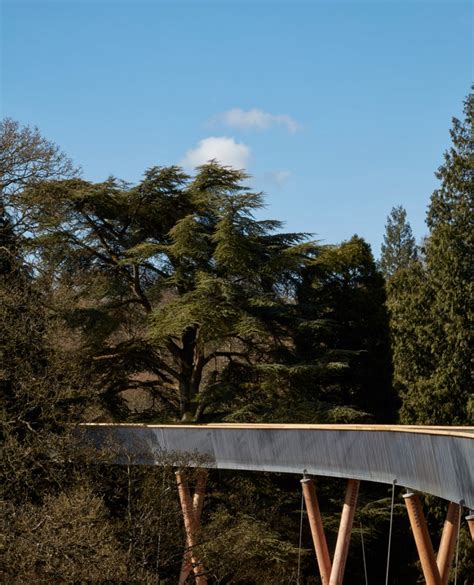 Sinuous Treetop Walkway By Glenn Howells Architects