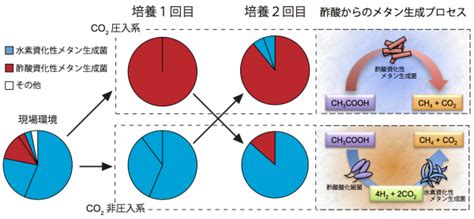 日本微生物生態学会 Co2地中貯留がもたらす地下微生物生態系への影響を解明 － Co2地中貯留技術の実現に新たな一歩 － Nat