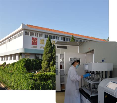 About Us Lotus Healthcare Pte Ltd
