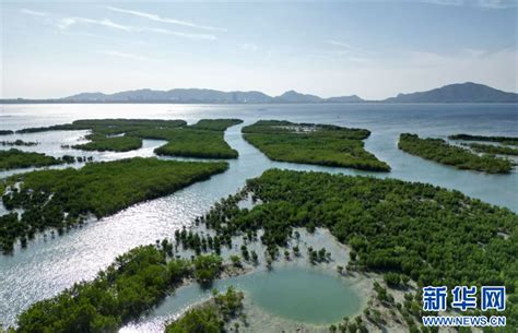 新华网关注 陵水桐海农旅融合打造疍家文化旅游区