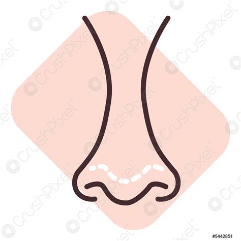 Nose Reduction Surgery Illustration Vector On White Background
