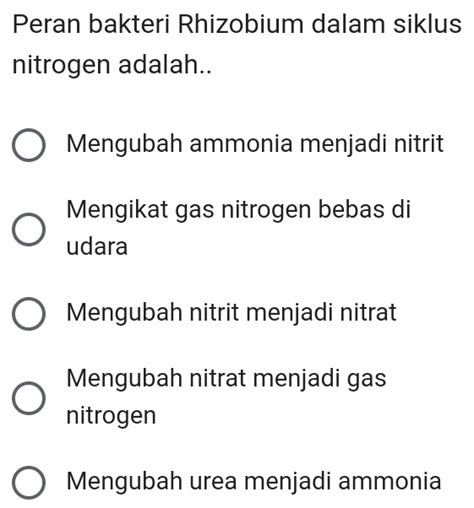 Solved Peran Bakteri Rhizobium Dalam Siklus Nitrogen Adalah Mengubah