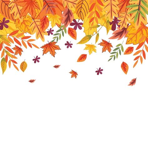 Chute Des Feuilles Dautomne Sur Fond Blanc Illustration Vectorielle