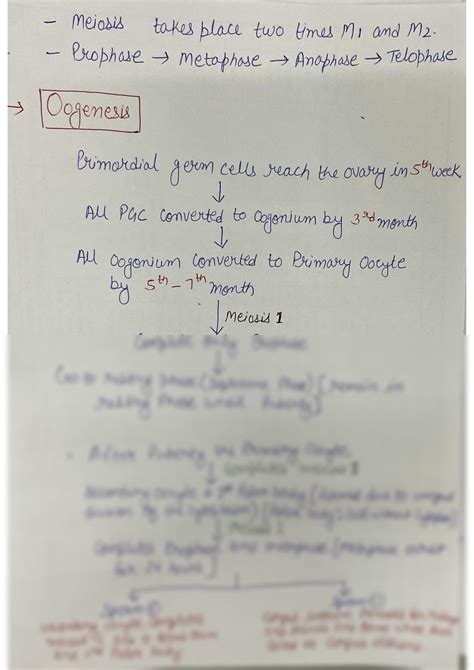 Solution Gametogenesis Oogenesis Spermatogenesis Handwritten Notes