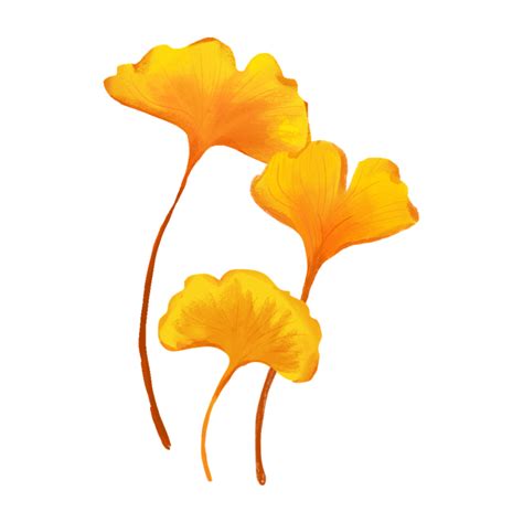 原创手绘枫叶 立秋 秋天 黄色银杏叶素材