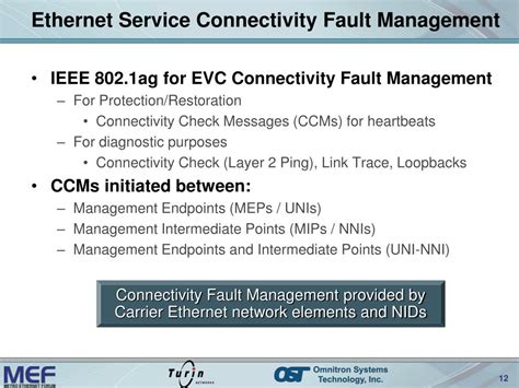 Ppt Ethernet Access Services Definition And Implementation Powerpoint