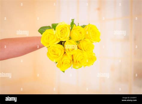 Women Hand Holding A Bouquet Of Peach Stardust Roses Variety Studio