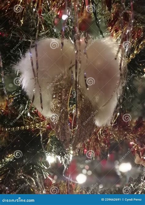 Angel Wings On Tree Stock Image Image Of Tree Angel