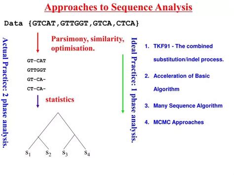 PPT Approaches To Sequence Analysis PowerPoint Presentation Free