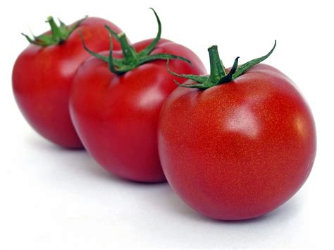 Seedless Fruit Production With Gene Editing Demeetra AgBio