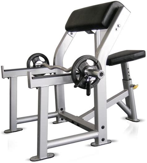 Preacher Curl Bench