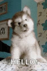 ‎‏‎‎‎‎‎‏‎‏‏‏‎‎‎‏‎‏‎‎‏‏‎‏‏‏‎‏‏‏‏‏‎‏‎‎‏‎‎‎‎‎‎‏‏‏‏‎‎‏‎‏‎‏‏‏‏‏‏‎‎‎‎‎‏‏‏‎‏‏‎