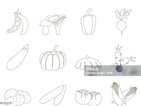 蔬菜圖示集向量圖形及更多蔬菜類圖片 蔬菜類 俄羅斯 十字花科 Istock