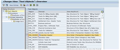 text determination procedure sap community