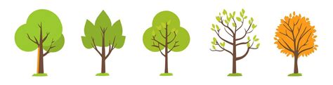 2d Tree Vector Art Icons And Graphics For Free Download