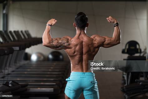 健美運動員健身模型姿勢雙雙比塞運動后鍛煉 照片檔及更多 25歲到29歲 照片 25歲到29歲 一個人 人 Istock