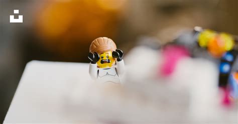 흰색과 빨간색 꽃에 갈색과 검은 색 꿀벌 사진 Unsplash의 무료 장난감 이미지