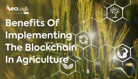 Benefits Of Implementing The Blockchain In Agriculture