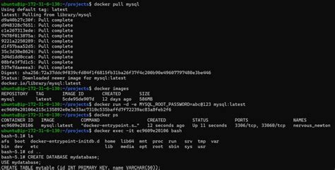 Amitt Ashok On Linkedin Connections Devops Automation Linux Aws