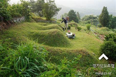 고양시 덕양구 소재 서울시립 벽제묘지벽제리묘지 경기장묘 서울시립 용미리제1묘지 용미리제2묘지 벽제리묘지 묘지이장 묘지개장 묘지화장 산소이장 파묘 전문업체