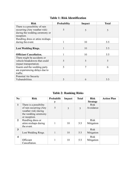 Risk Assignment Write About Top 20 Risks And Their Action Plan