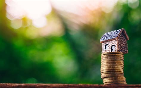 동전 돈과 집에 녹색 자연 배경 모델 투자 저축 재무 금융 부동산 사다리 모기지와 부동산 투자에 대 한 개념 가격에 대한 스톡 사진 및 기타 이미지 Istock