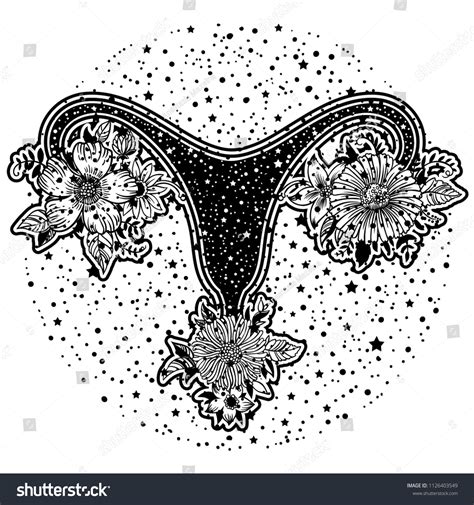 Beautiful Female Reproductive Organs Flowers Uterus Stock Vector