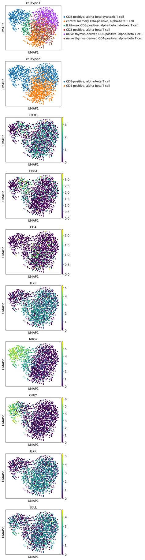 Notebook Celltype Annotation And Beyond BESCA Documentation
