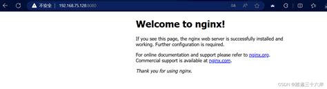 docker简单案例 docker实例 csdn博客