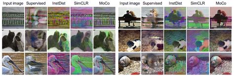 Review — What Makes Instance Discrimination Good For Transfer Learning By Sik Ho Tsang Medium