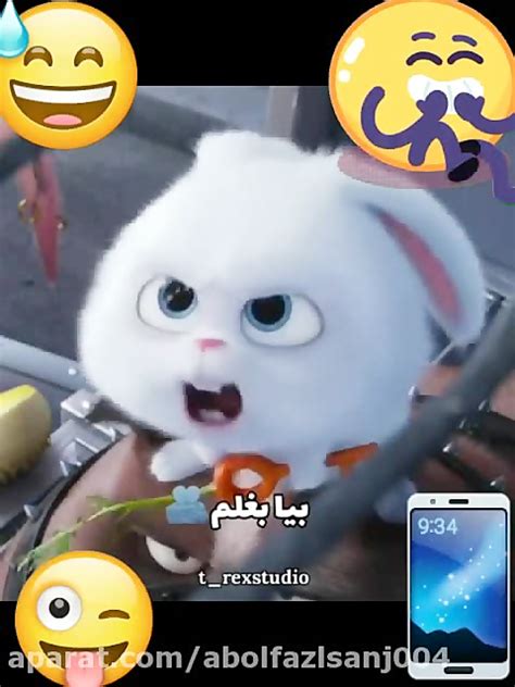 دل منو بردی