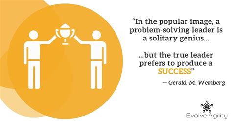 Effective Leadership Stances For Problem Solving Evolve Agility Insights