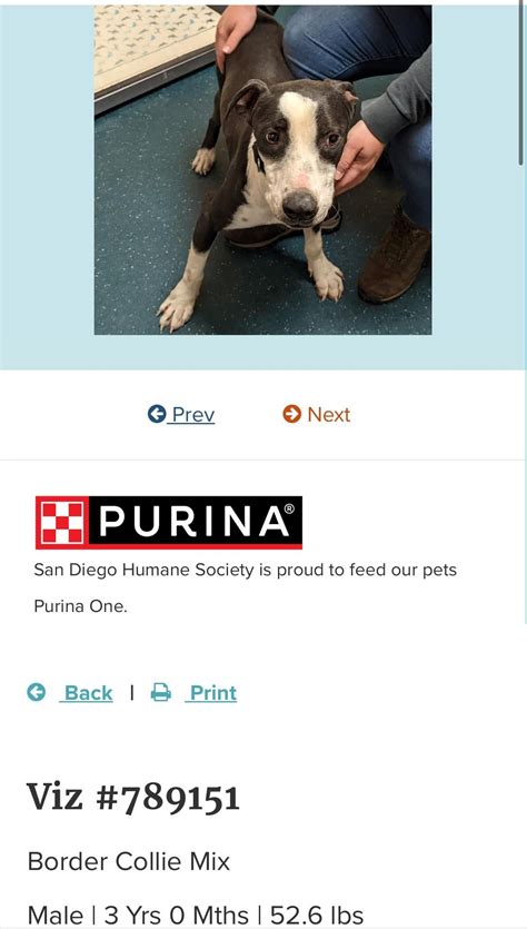 Purposeful Mislabeling R Banpitbulls